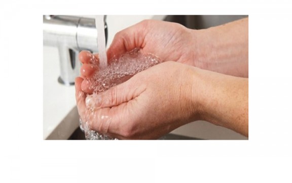 Elizabeth NJ Food Safety - MG FOOD SAFETY